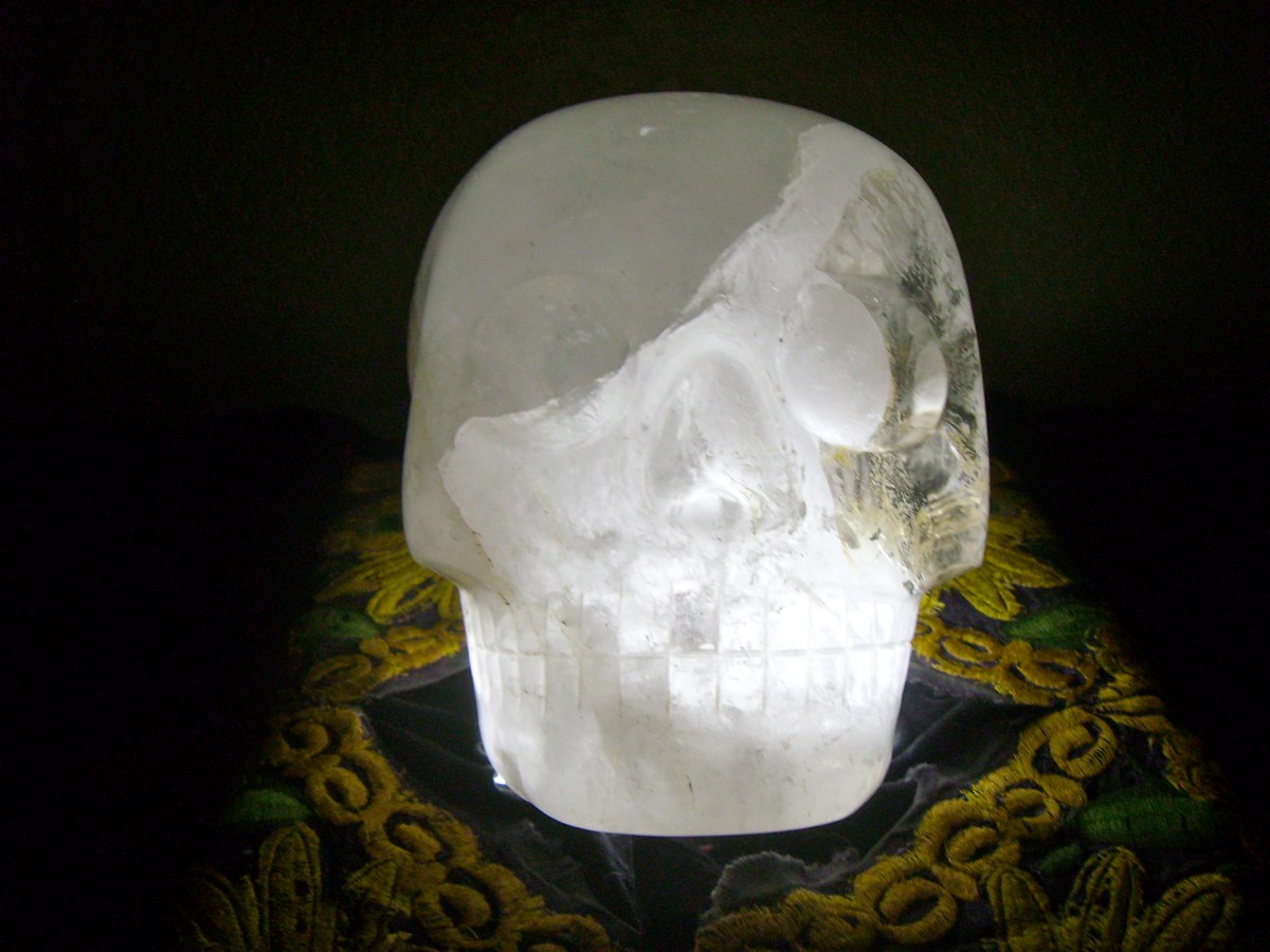 Meeting Max the Crystal Skull – Rowing Through Life