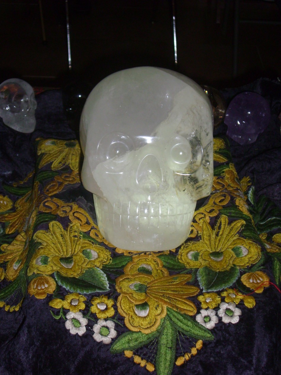 Meeting Max the Crystal Skull – Rowing Through Life
